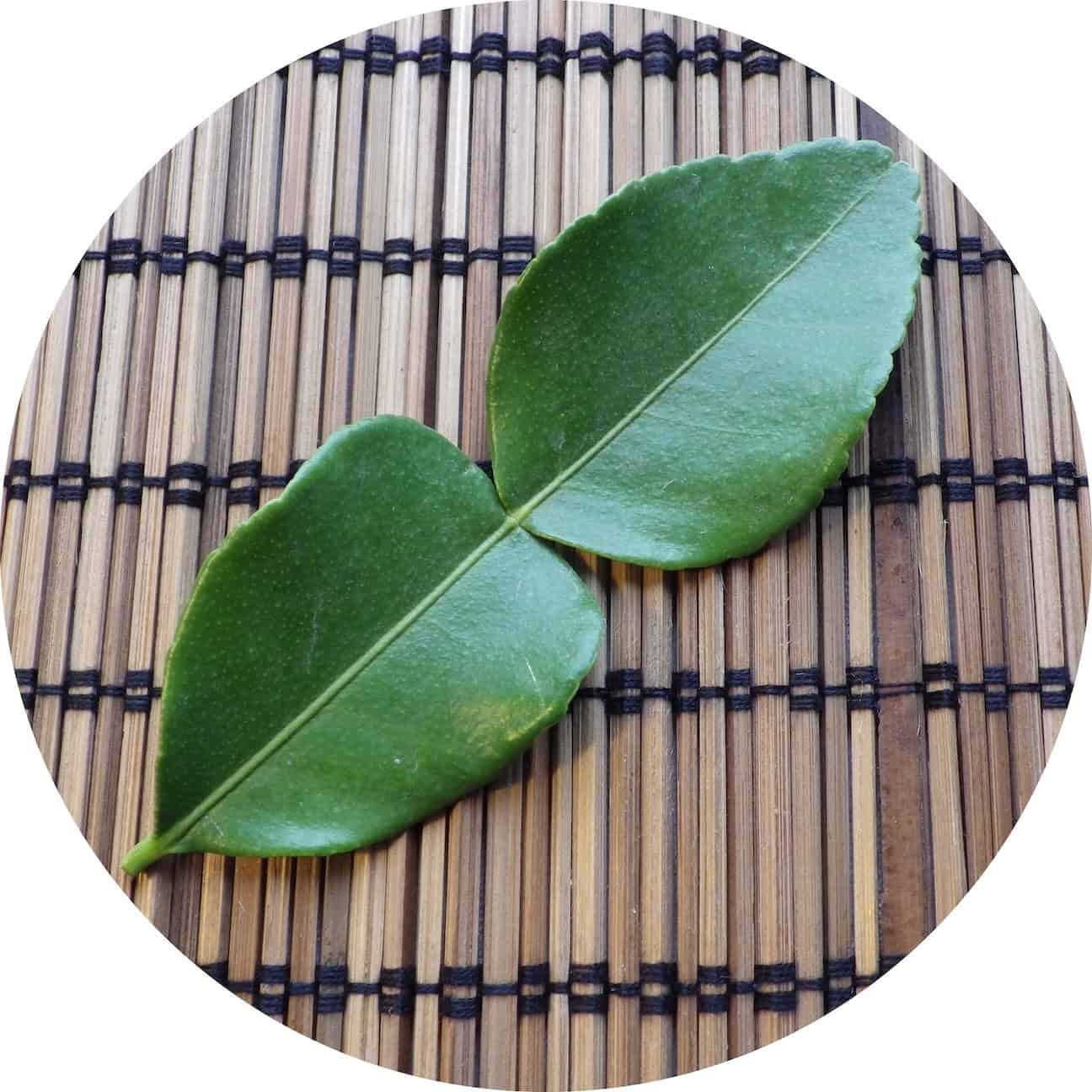 Makrut Lime Leaf | Spice Exotica